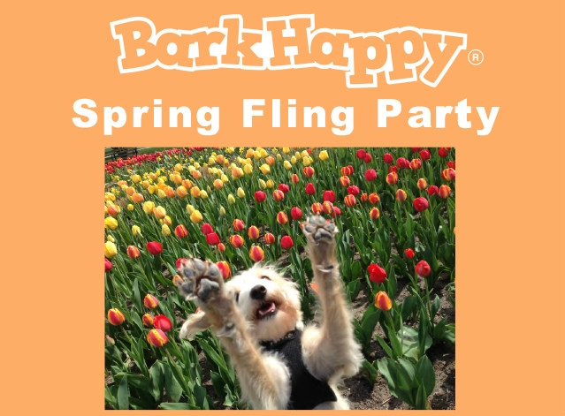 BarkHappy San Diego: Spring Fling Party - BarkHappy